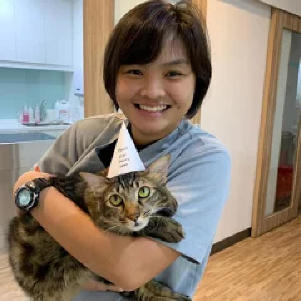 Animal Academy | Transform Your Future in Animal Care