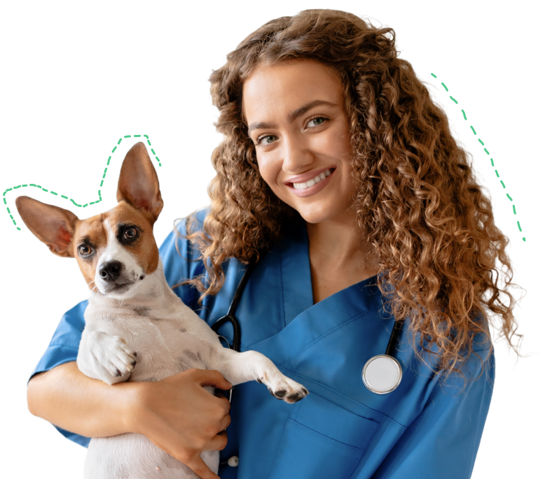 Animal Academy | Transform Your Future in Animal Care