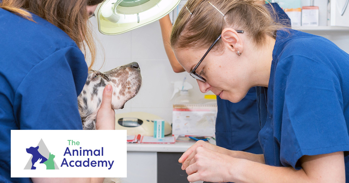 Fees | Animal Academy